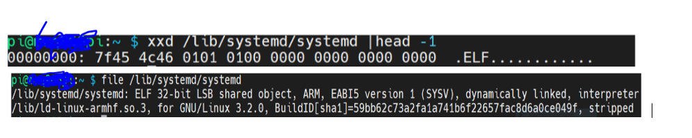 Solved pi@i Si: $ xxd /lib/systemd/systemd head -1 00000300: | Chegg.com