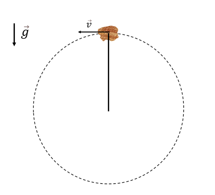 Solved A stone attached to a string is whirled in a vertical | Chegg.com