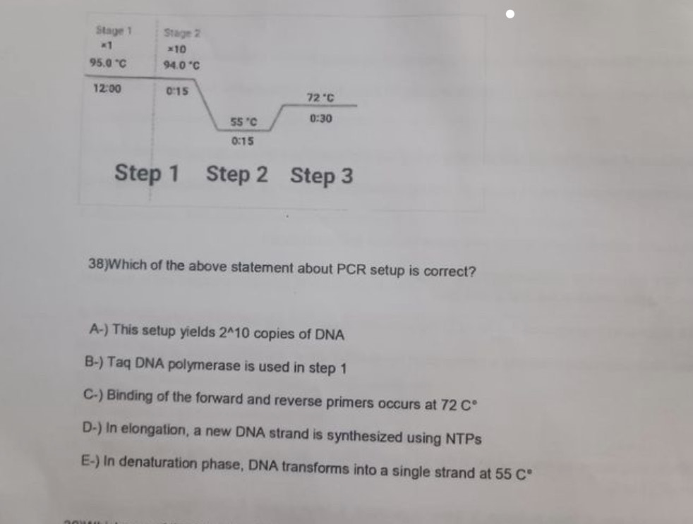 Solved 38)Which of the above statement about PCR setup is | Chegg.com