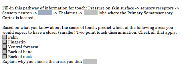 Solved Fill-in this pathway of information for touch: | Chegg.com