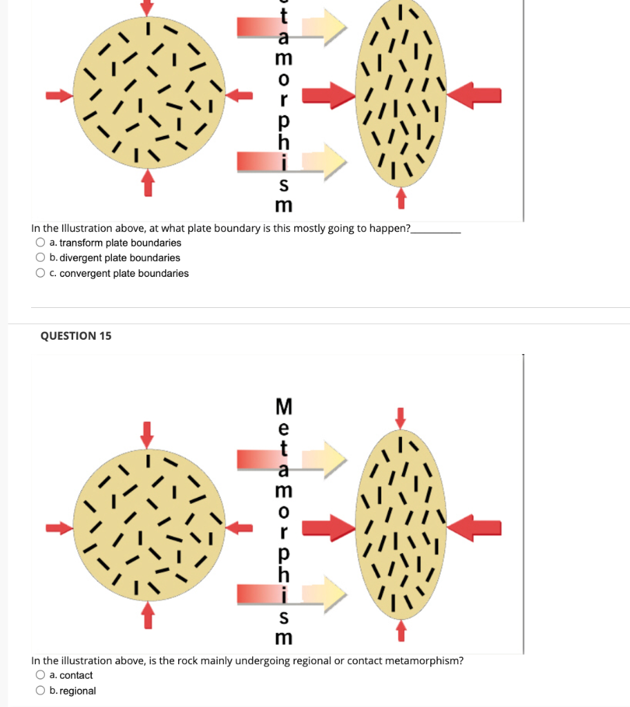 Solved 22. 23. What rock is shown here? a. granite b. | Chegg.com