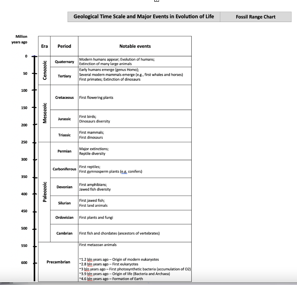 Solved Geological Time Scale and Major Events in Evolution | Chegg.com