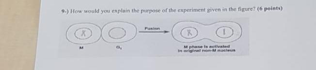 Solved 9-) How would you explain the purpose of the | Chegg.com
