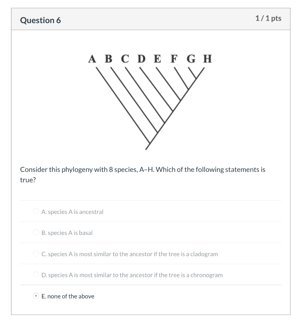 Solved Question 6 11 Pts A B C D E F G H Consider This 0617