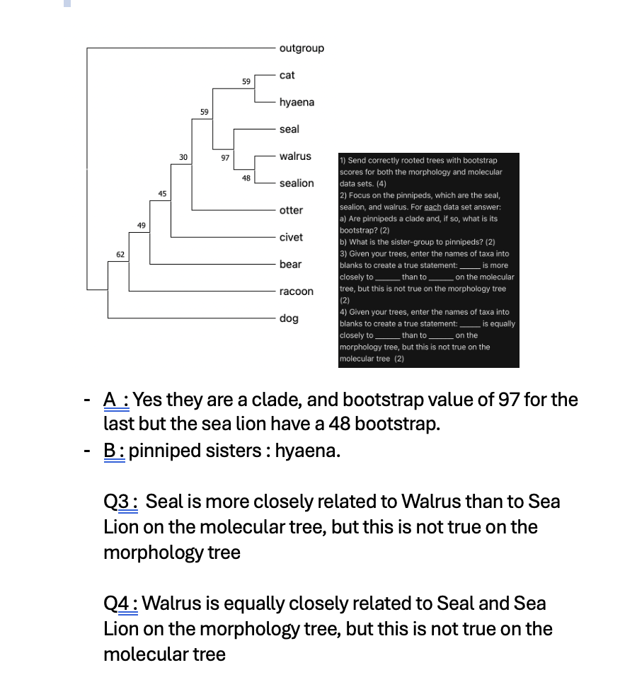 Solved Send correctly rooted trees with bootstrap scores for | Chegg.com