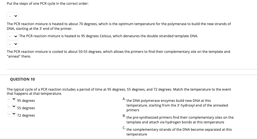 Solved Put the steps of one PCR cycle in the correct order: | Chegg.com
