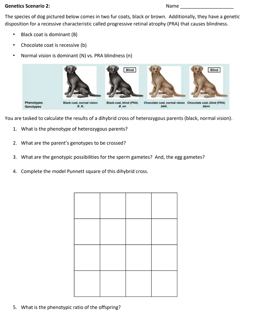 Solved Genetics Scenario 2: Name The species of dog pictured | Chegg.com