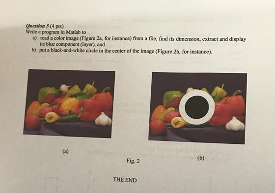 Solved Question 5 (4 pts) Write a program in Matlab to a) | Chegg.com