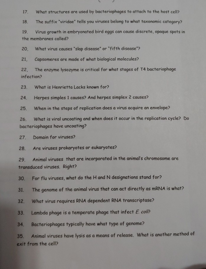 Solved BIO 205- MICROBIOLOGY STUDY SHEETS FOR FINAL - | Chegg.com