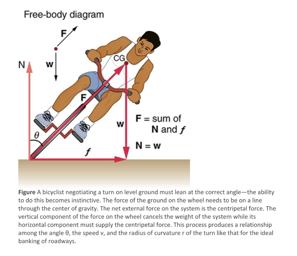 Solved 3. Part of riding a bicycle involves leaning at the | Chegg.com