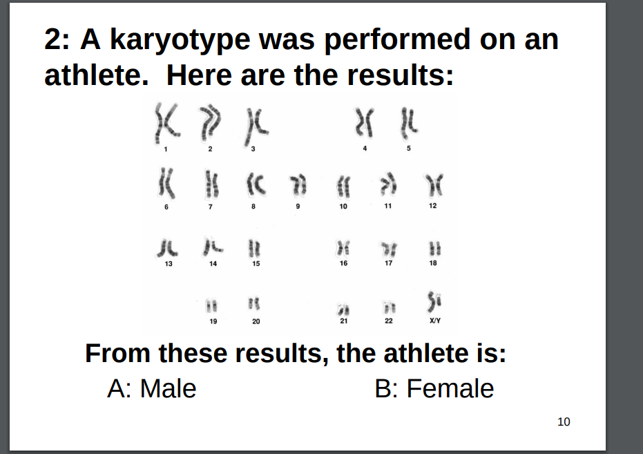 Solved 2: A karyotype was performed on an athlete. Here are | Chegg.com