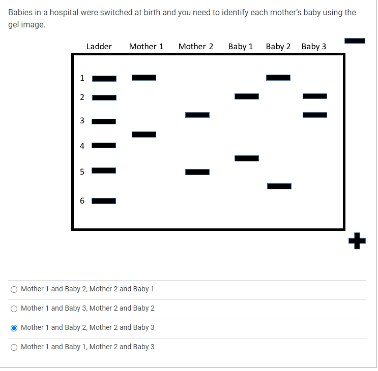 Solved Babies in a hospital were switched at birth and you | Chegg.com