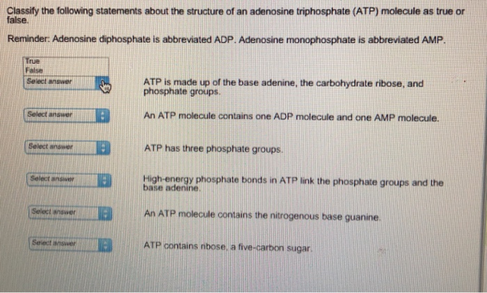 Solved Classily the following statements about the structure | Chegg.com Solved Classily the following statements about the structure | Chegg.com