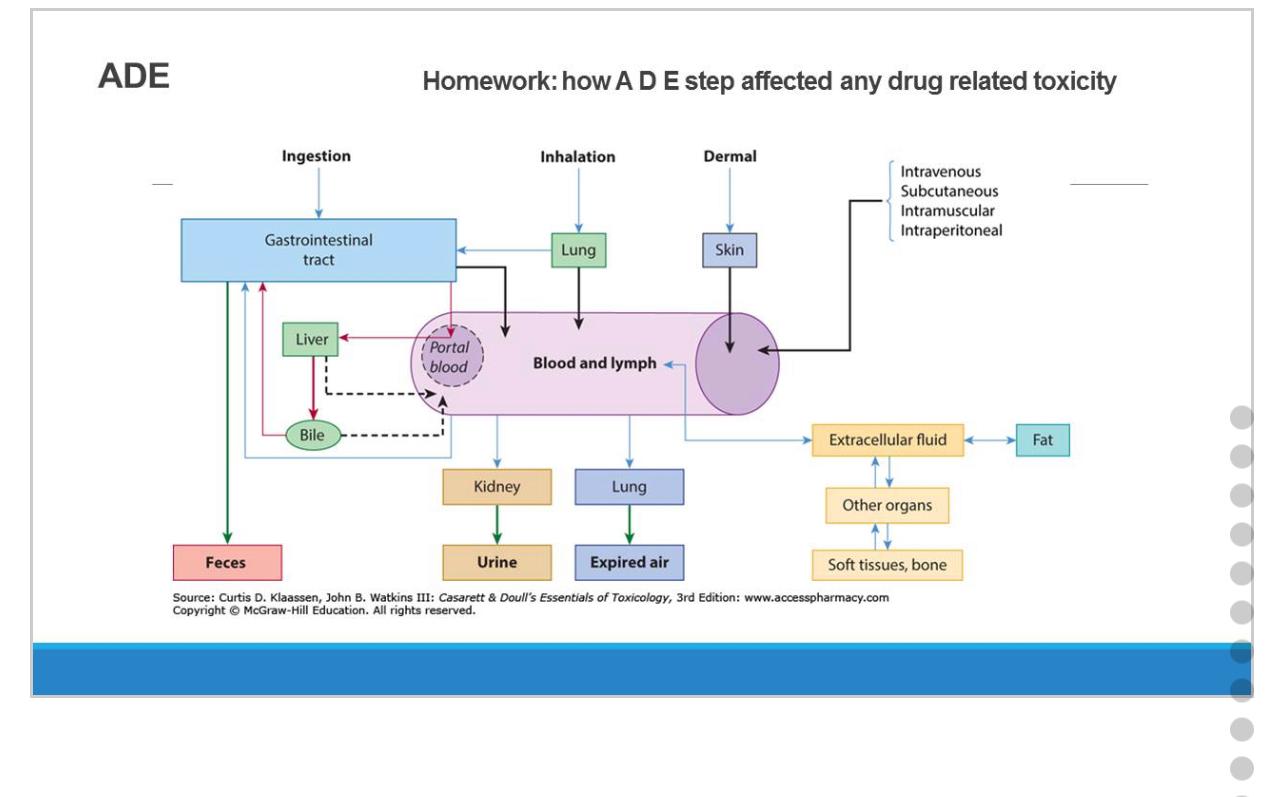 Solved Homework: how A D E step affected any drug related | Chegg.com