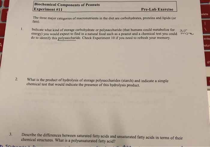 Solved Biochemical Components of Peanuts Experiment #11 | Chegg.com