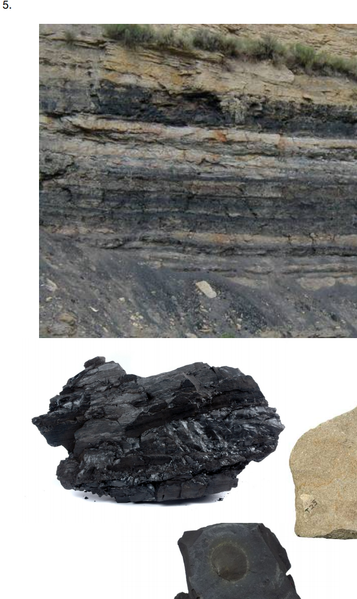 Solved Grain Size (if visible) Minerals or Grain Type Fizz | Chegg.com