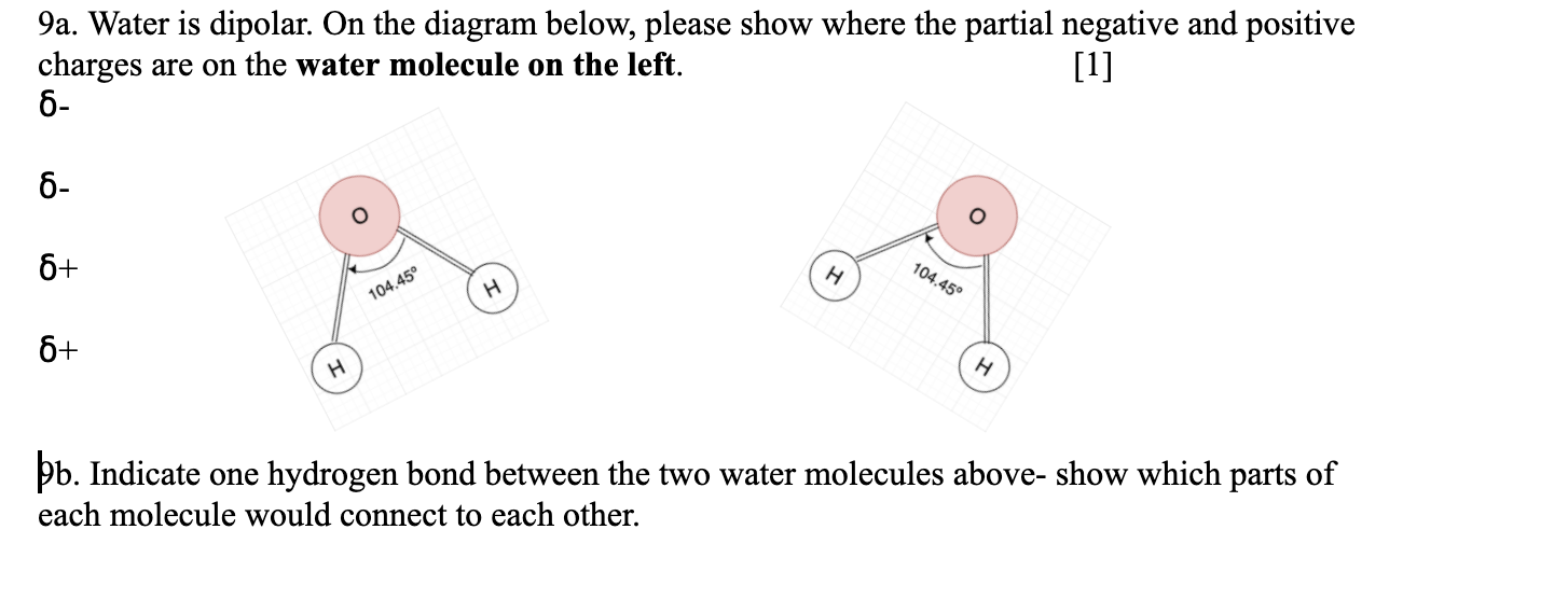 Solved 9a. Water is dipolar. On the diagram below, please | Chegg.com