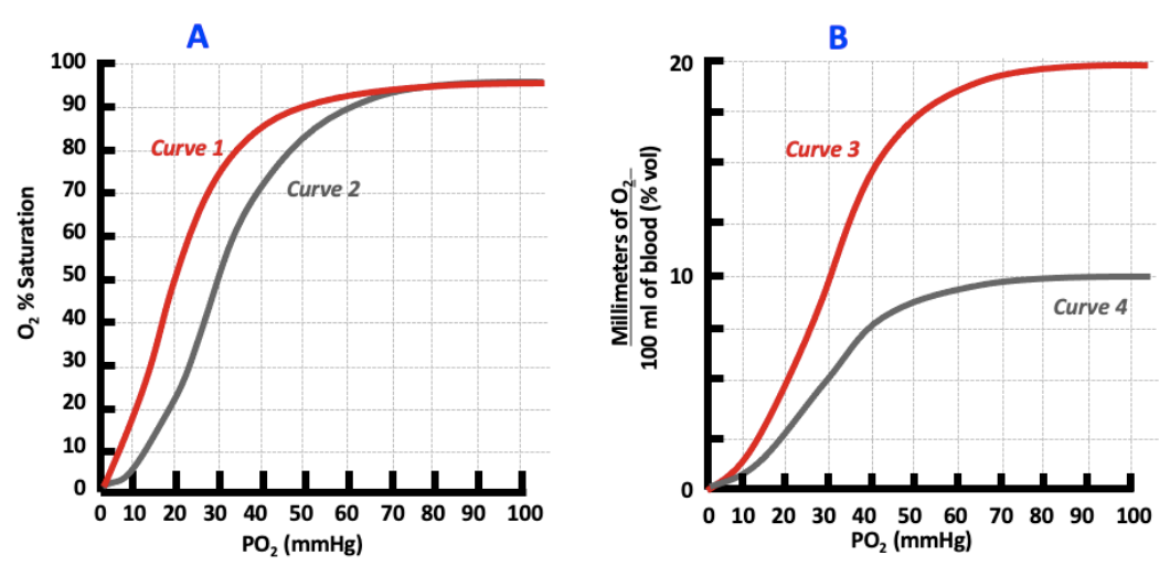 Solved The following oxygen-affinity curves show two | Chegg.com