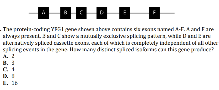 Solved A B C D EHF . The protein-coding YFG1 gene shown | Chegg.com