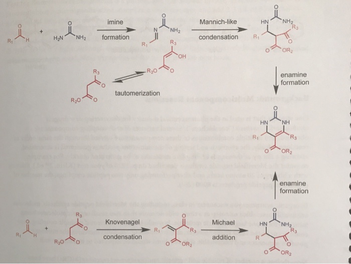 Solved 4. Provide complete reaction mechanisms for the imine | Chegg.com