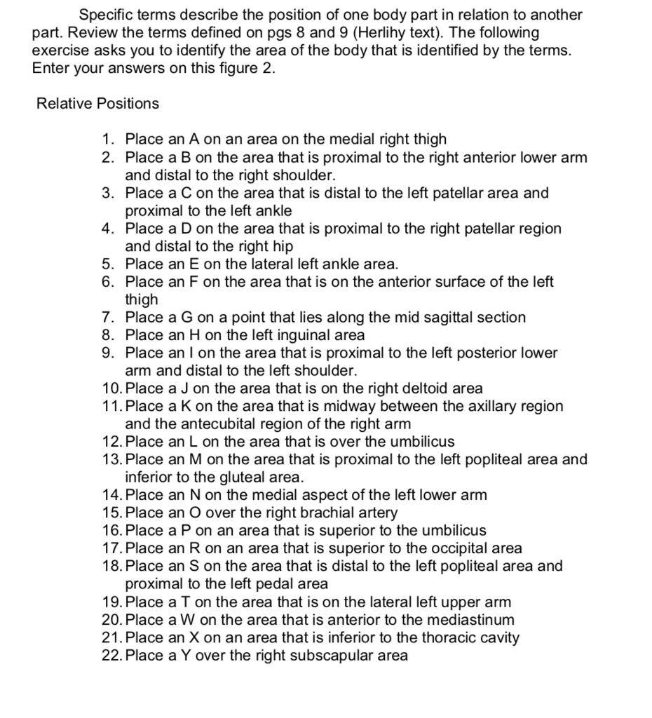 Solved Specific terms describe the position of one body part | Chegg.com