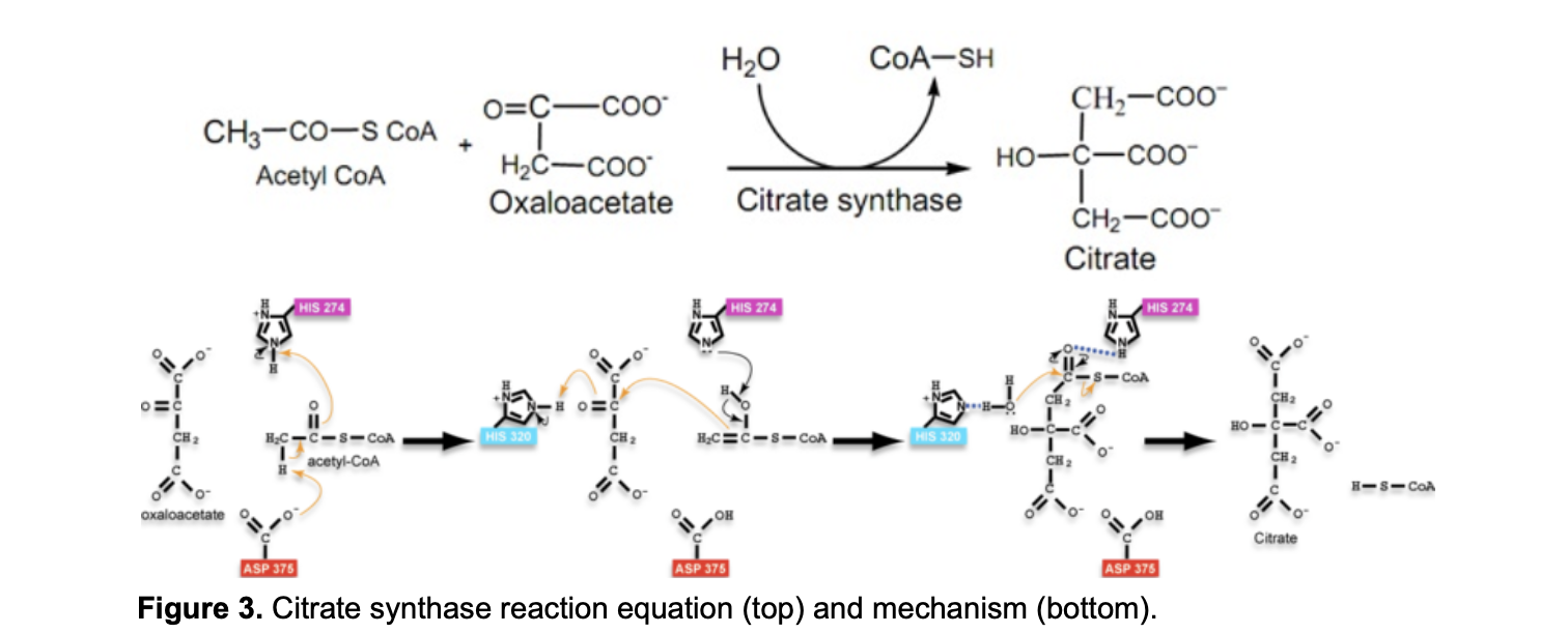Solved Based on the details provided in Figure 3, what type | Chegg.com