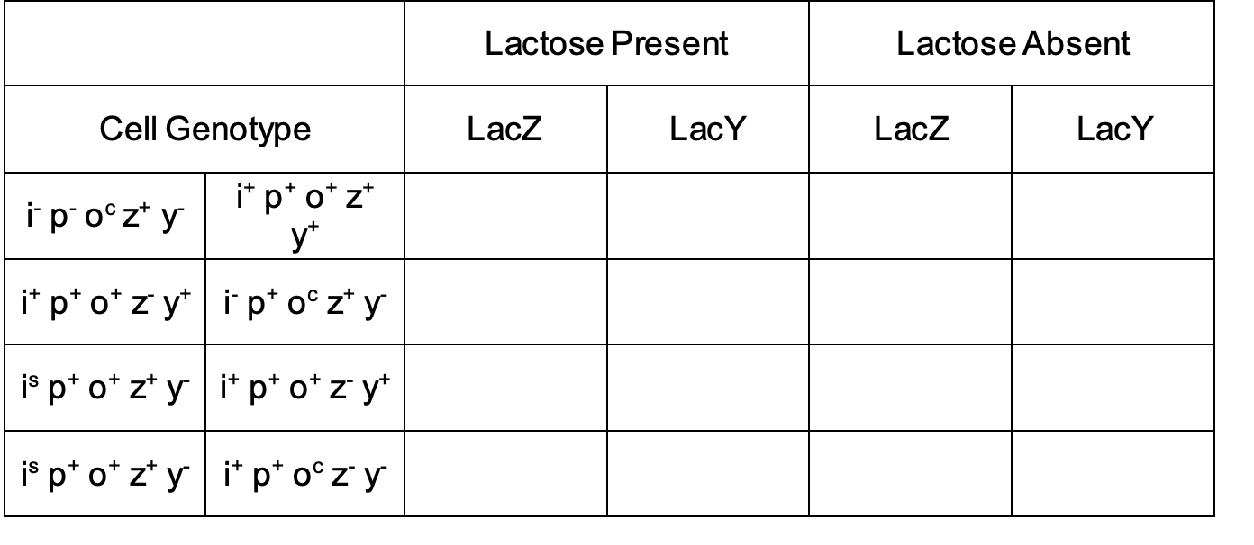 Solved What is the expression of LacZ and Lac Y in the | Chegg.com