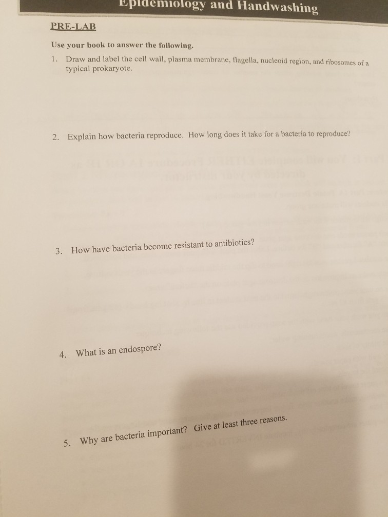 Solved Epidemiology and Handwashing PRE-LAB Use your book to | Chegg.com