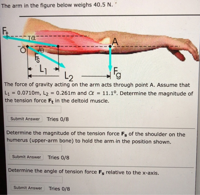 Solved The arm in the figure below weighs 40.5 N. 2 9 The | Chegg.com