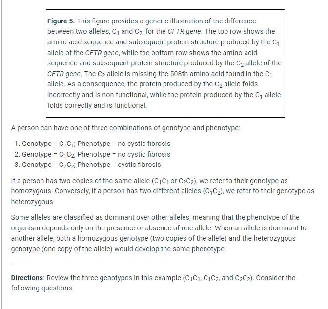 An Example of Inheritance: Cystic Fibrosis To explore | Chegg.com