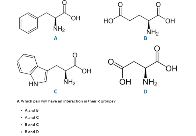 Solved i NH H3C OH H2N. HN OH OH NH2 NH2 NH2 A B с 5. Which | Chegg.com