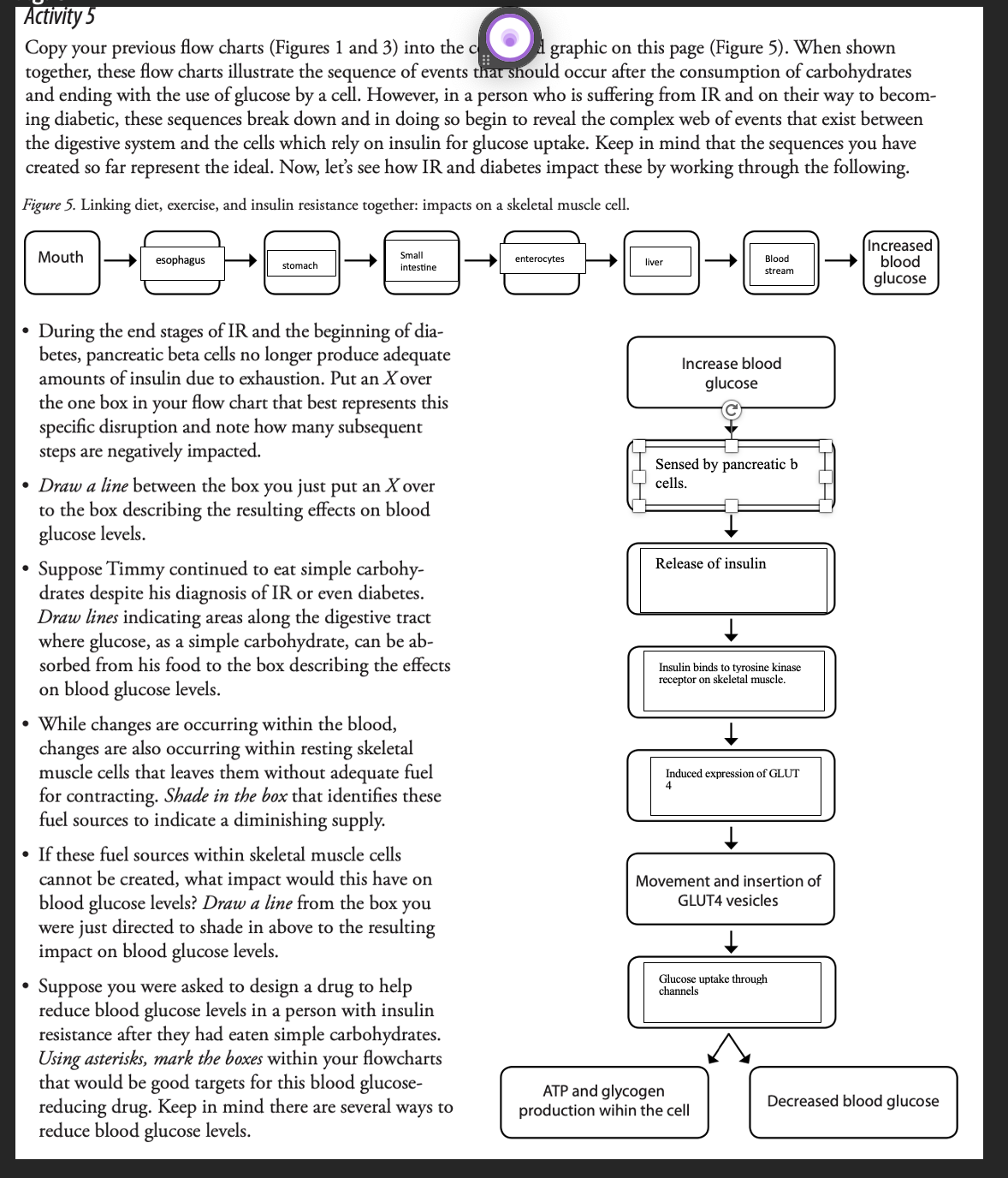 Activity 5 Copy your previous flow charts (Figures 1 | Chegg.com