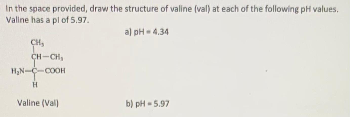 Solved In the space provided, draw the structure of valine | Chegg.com