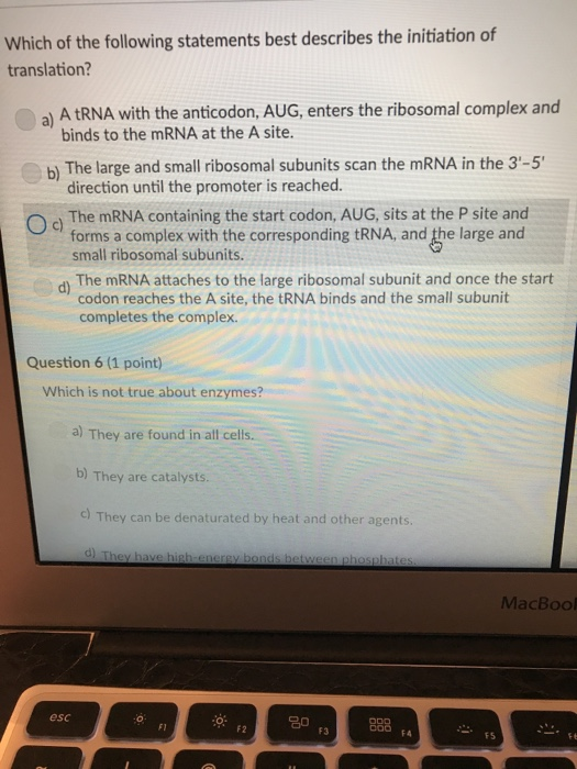 Which of the Following Best Describes Translation - Kyler-well-Pham