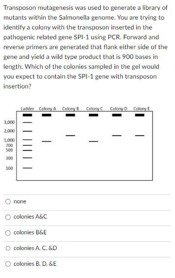 Solved Transposon mutagenesis was used to generate a library | Chegg.com
