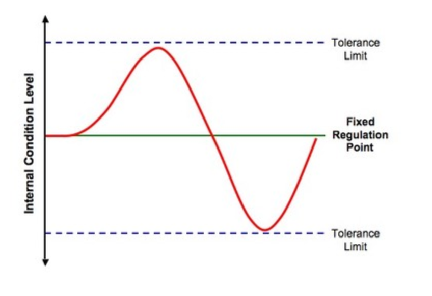 Solved 1 Tolerance Limit Internal Condition Level Fixed | Chegg.com