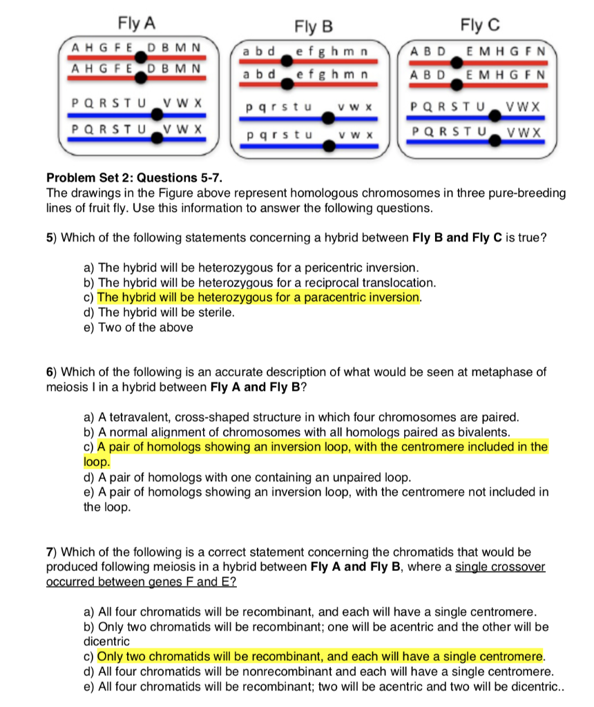 Solved Problem Set 2: Questions 5-7. The drawings in the | Chegg.com