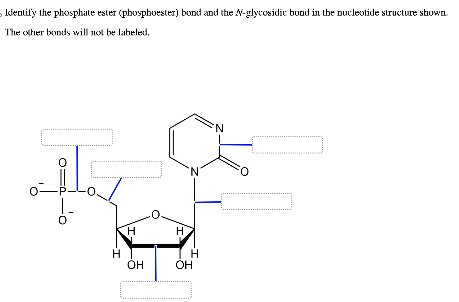 Solved Identify the phosphate ester (phosphoester) bond and | Chegg.com