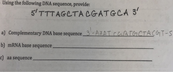 Solved Using the following DNA sequence, provide: a) | Chegg.com