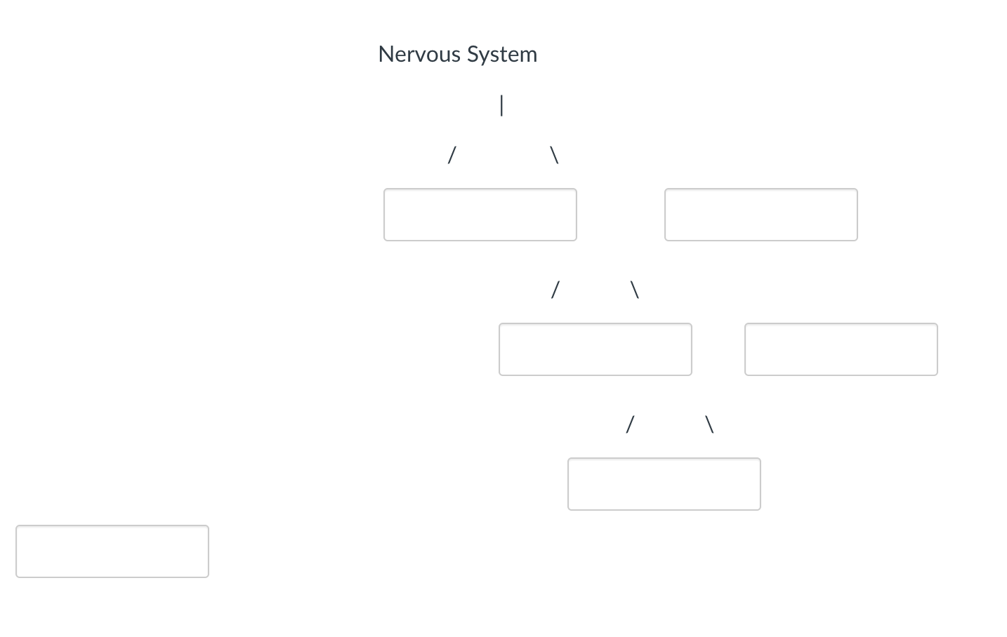 Solved Nervous System | / | Chegg.com