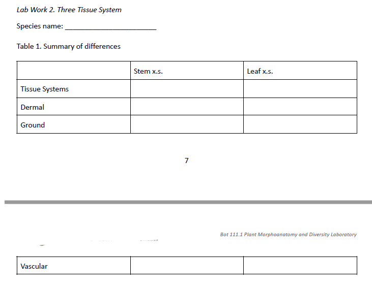 Solved Lab Work 2. Three Tissue System Choose at least one | Chegg.com