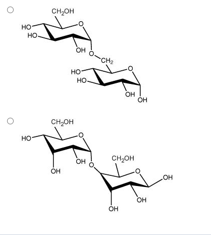 Solved Question 24 Isomaltose is similar in structure to | Chegg.com
