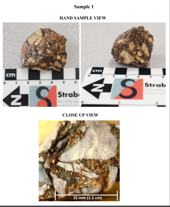 Solved SAMPLE SORTING Poorly, moderately, or well sorted | Chegg.com