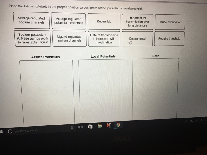 Solved Place the following labels in the proper position to | Chegg.com