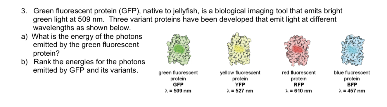 Solved 3. Green fluorescent protein (GFP), native to | Chegg.com