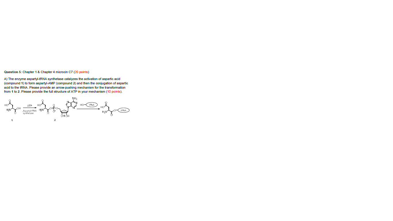 Solved Question 5: Chapter 1 & Chapter 4 microcin C7 (20 | Chegg.com