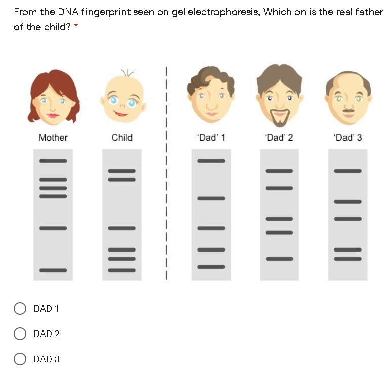 Solved From the DNA fingerprint seen on gel electrophoresis, | Chegg.com