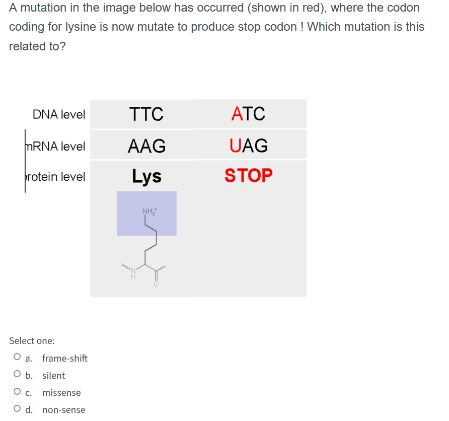 Solved A mutation in the image below has occurred (shown in | Chegg.com
