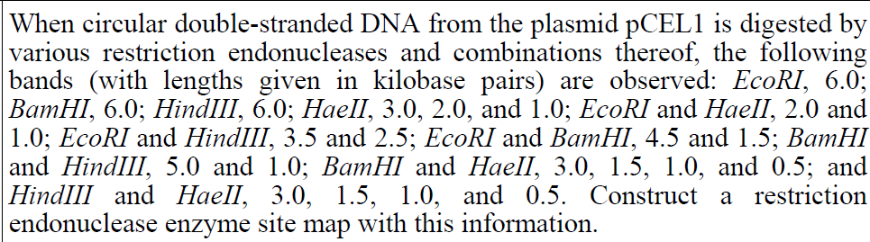 Solved When circular double-stranded DNA from the plasmid | Chegg.com