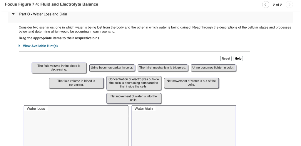 Solved Consider two scenarios: one in which water is being | Chegg.com